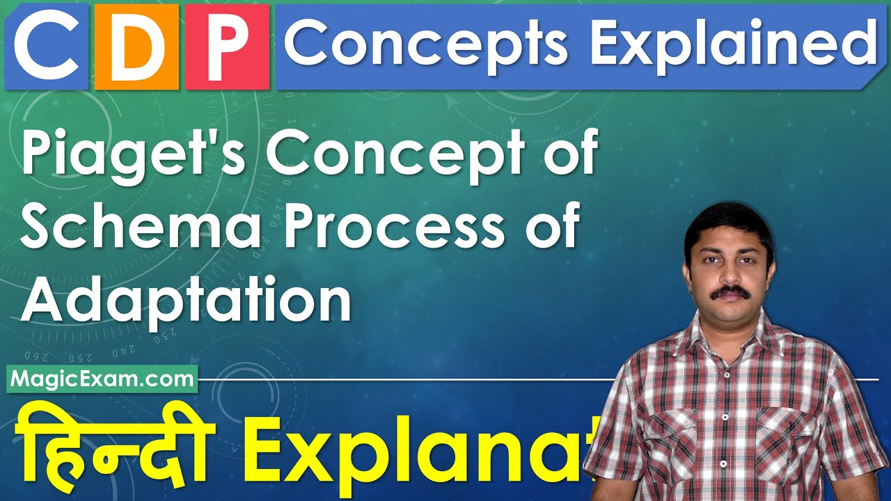 Piaget's Concept of Schema Process of Adaptation CDP Concepts हिन्दी ...