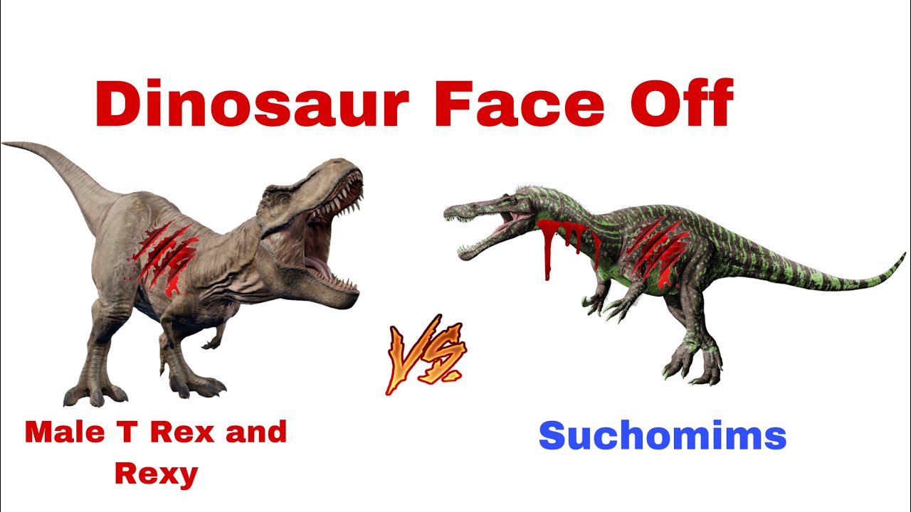 Dinosaur Face Off Male T-Rex and Rexy vs Suchomimus - YouTube