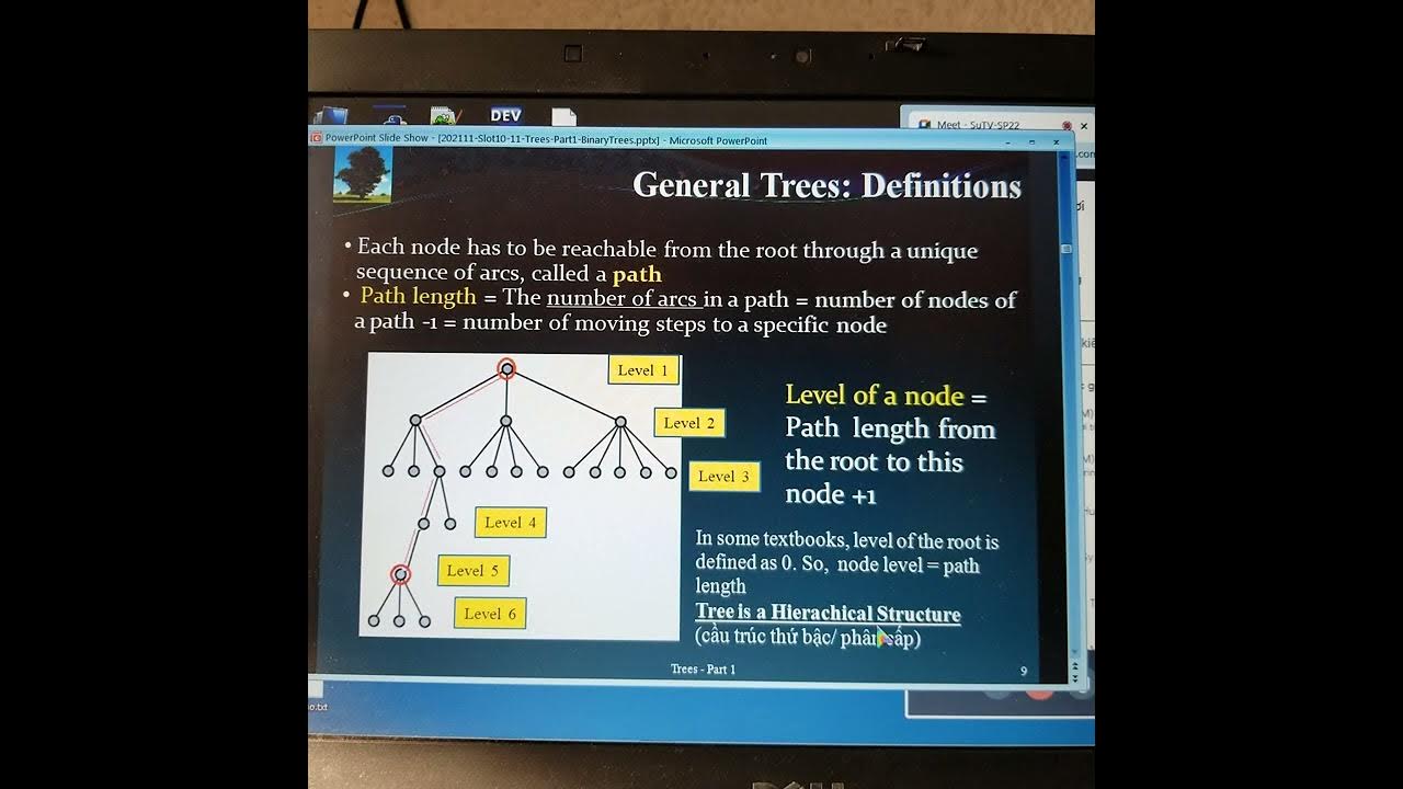 Tree - Part 1 - YouTube