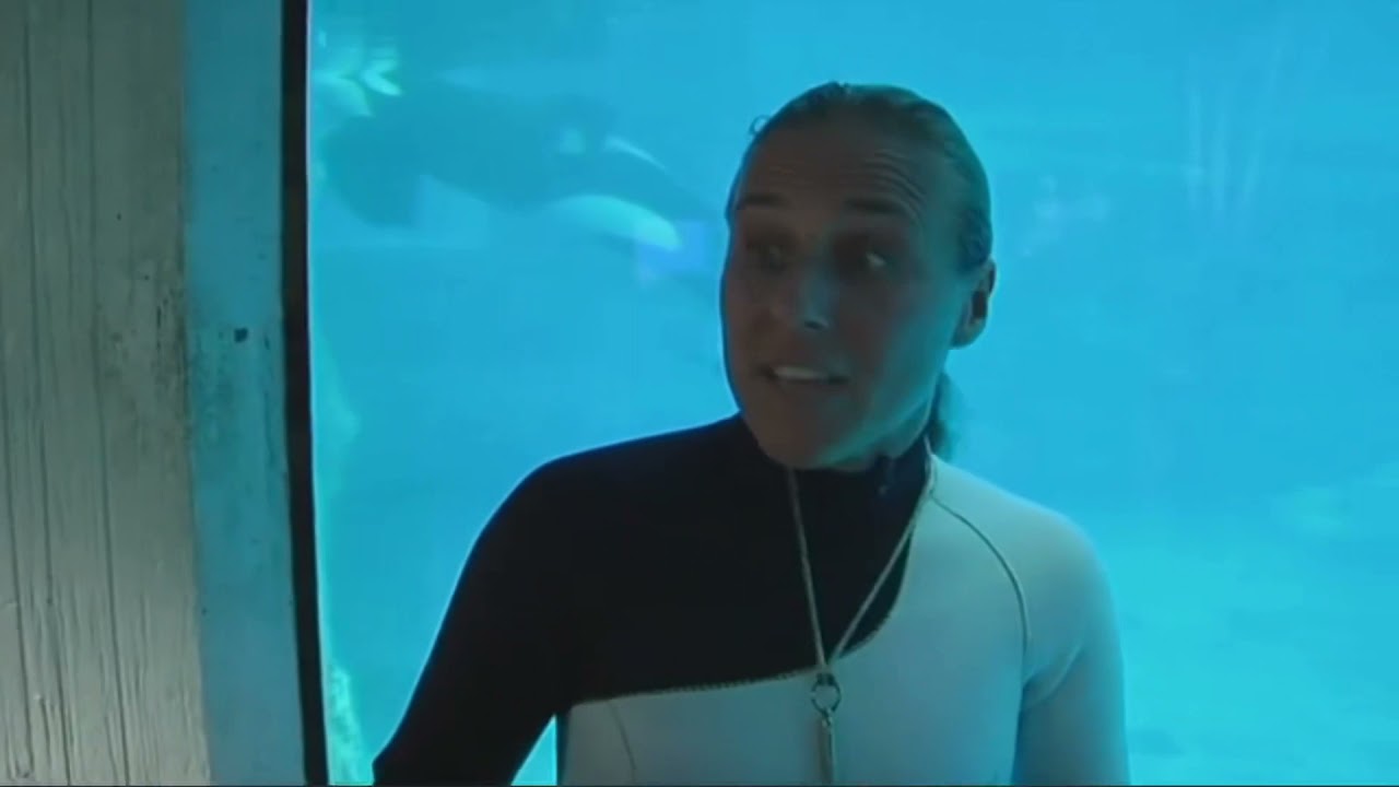 Fetch! with Ruff Ruffman - SeaWorld Orlando - YouTube