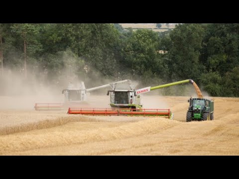 Claas Lexion 760 - Aerial Recoltare grâu - YouTube