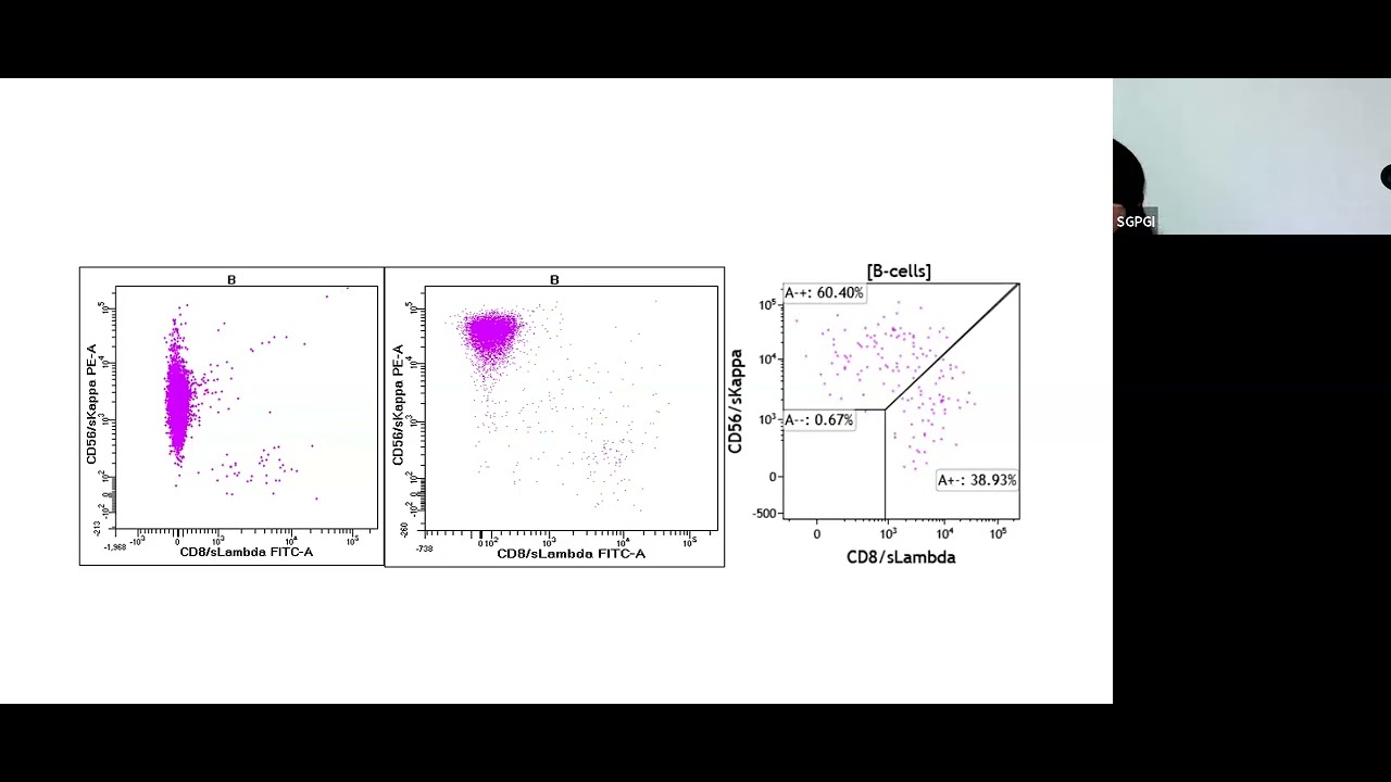 Clonality Assays in Band T Cell, Dr Jasmita ,Associate Prof ...