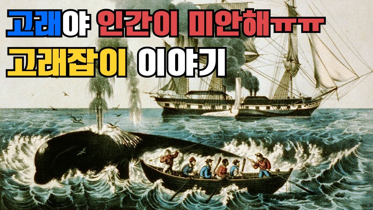 고래는 어쩌다 바다의 로또가 되었을까 고래잡이의 역사 Youtube