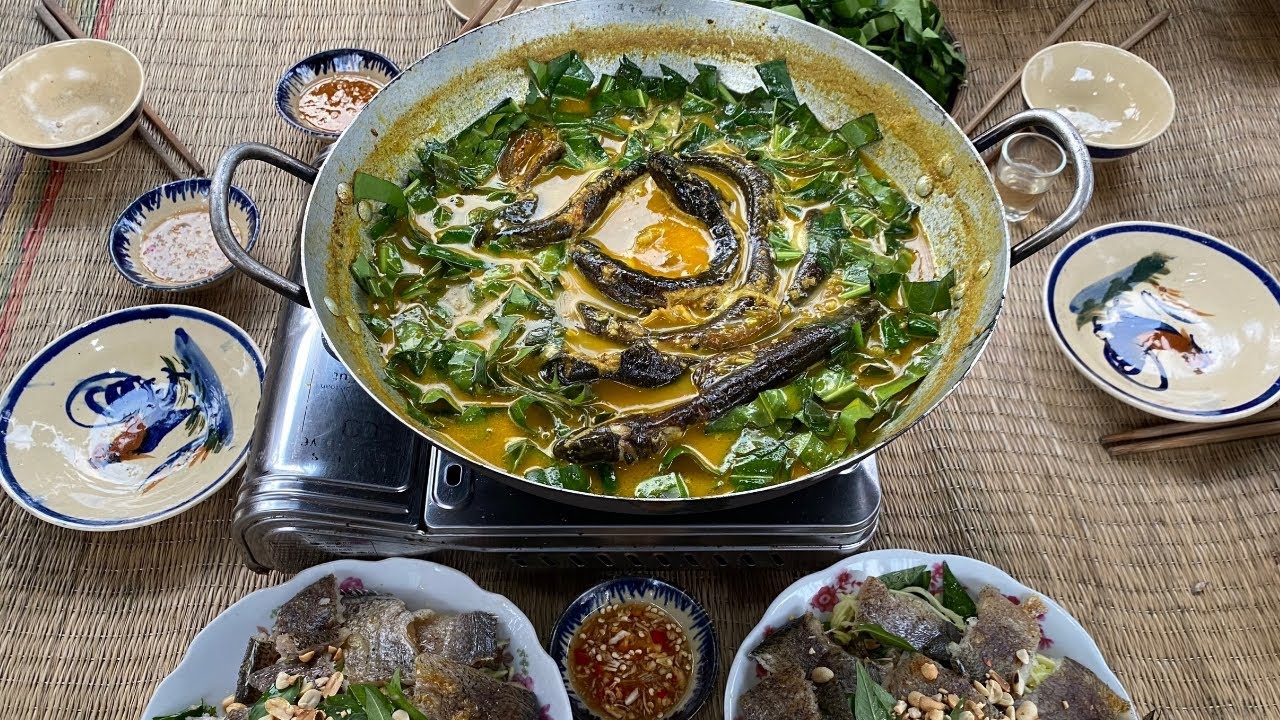 Buổi Chiều Nhậu '' Lai Rai '' Lịch Um Lá Nhàu Nước Cốt Dừa | TQMT #249 ...