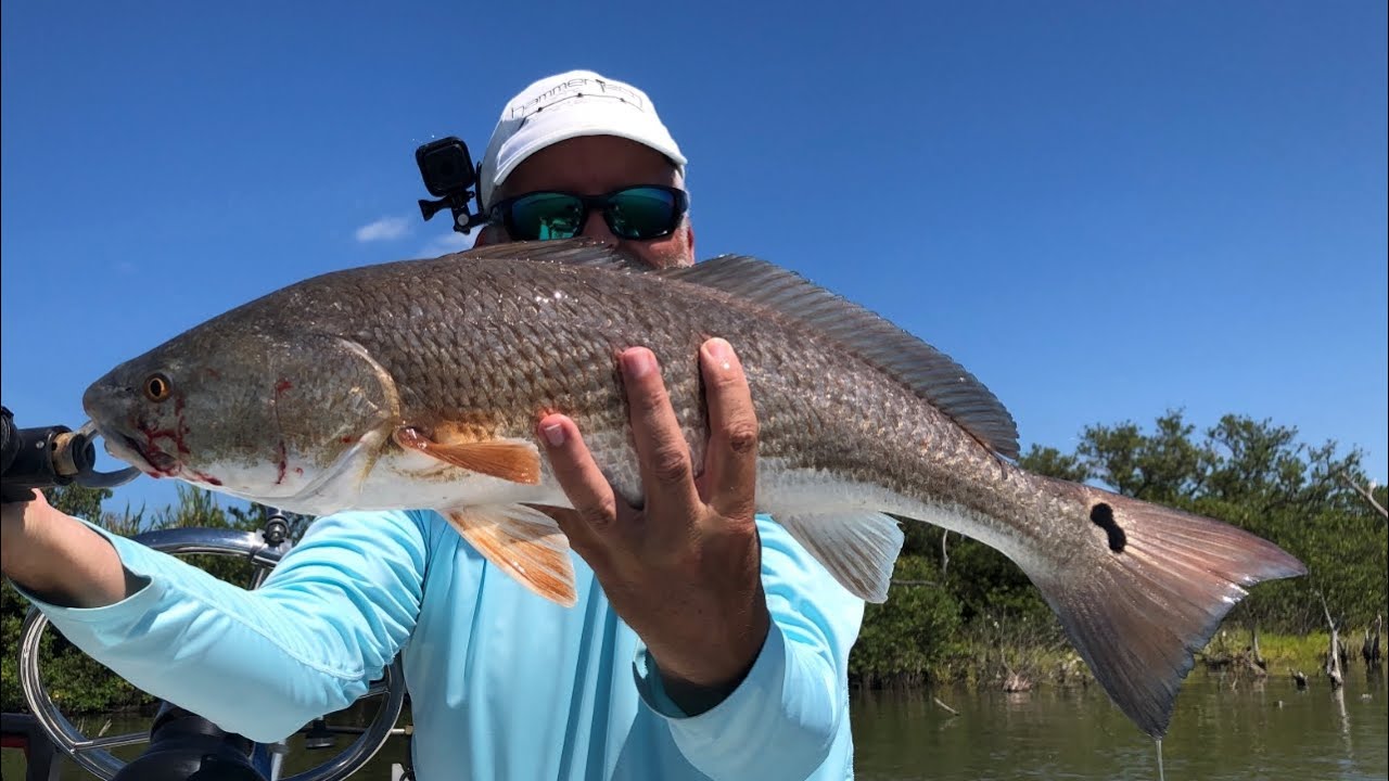 Mosquito Lagoon Fishing Report 9-26-2021 - YouTube