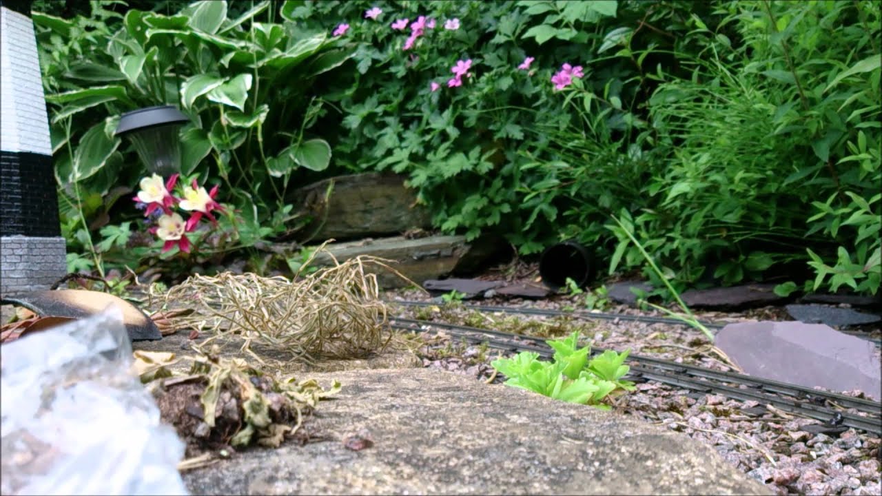 Accucraft Wrekin with DJB resonator whistle fitted by HGLW - YouTube