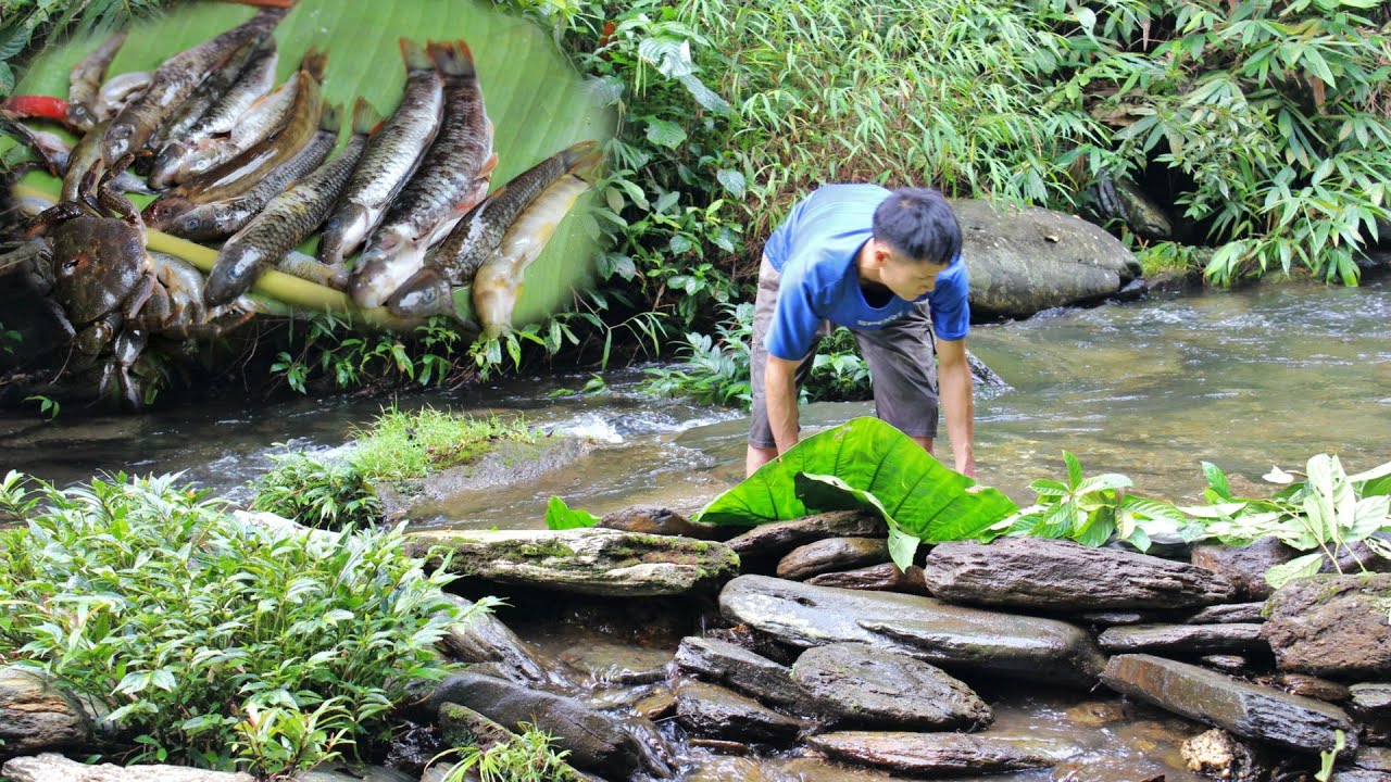 Survival skills - Catching simple stream fish | Rainforest life - YouTube
