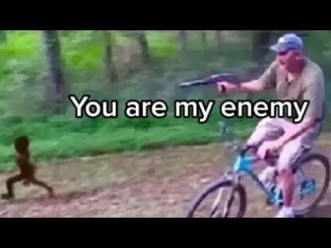 One Hour of Memes to Watch When You Can't Sleep