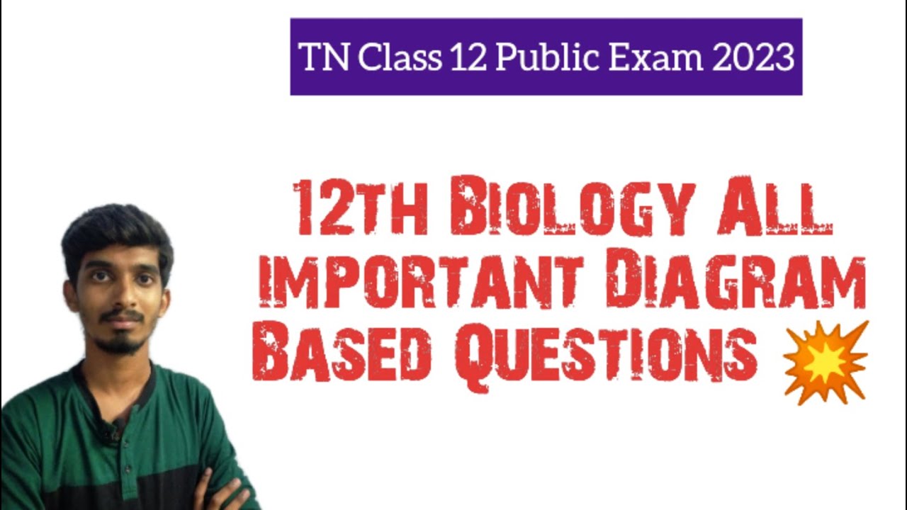 12th Biology All Important Diagram based Questions|Public Exam 2023 ...