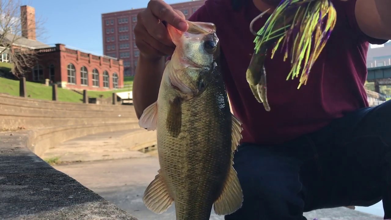 Bass fishing Downtown Houston TX Buffalo Bayou ヒューストン、テキサス州 ブラックバス ...