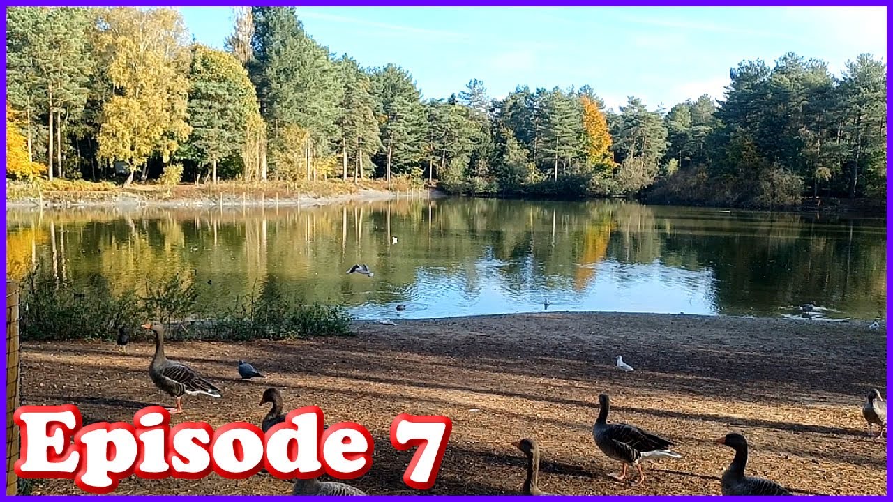 Dan + Dan | Episode 7 - Center Parcs Elveden Forest | October 2024 ...