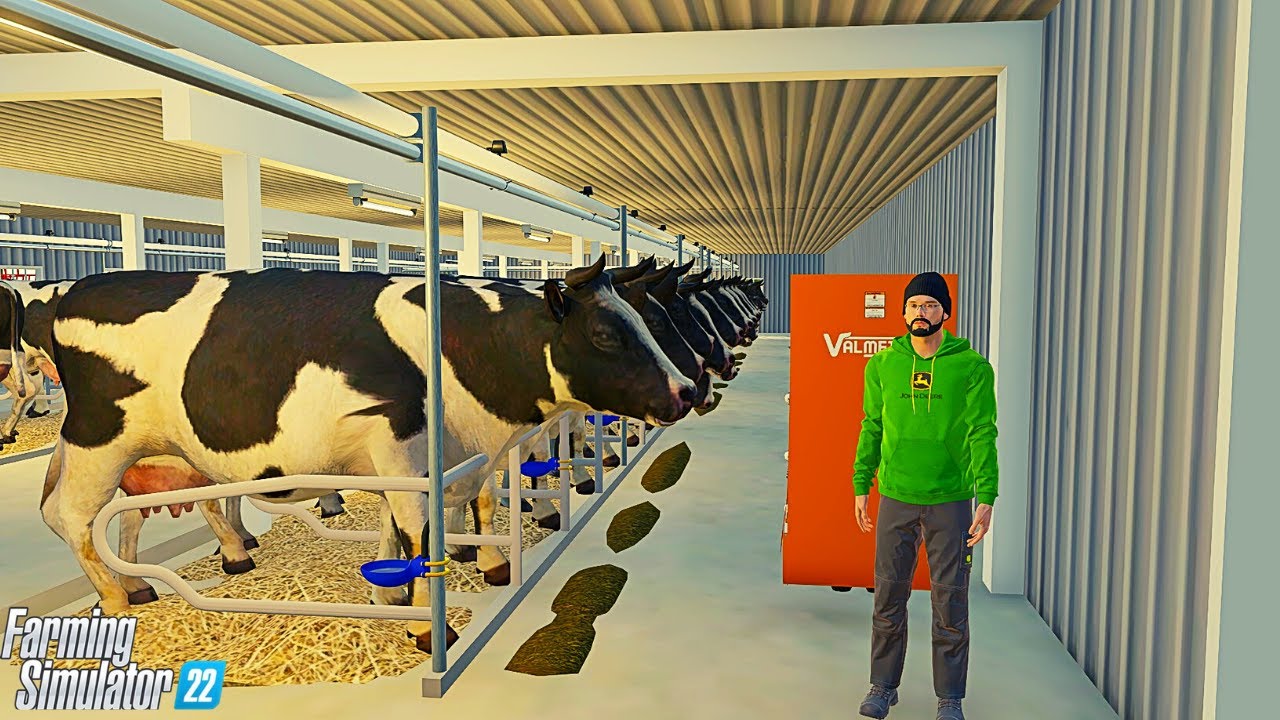moving some dairy cows around - American dairy farm - FS22 - YouTube