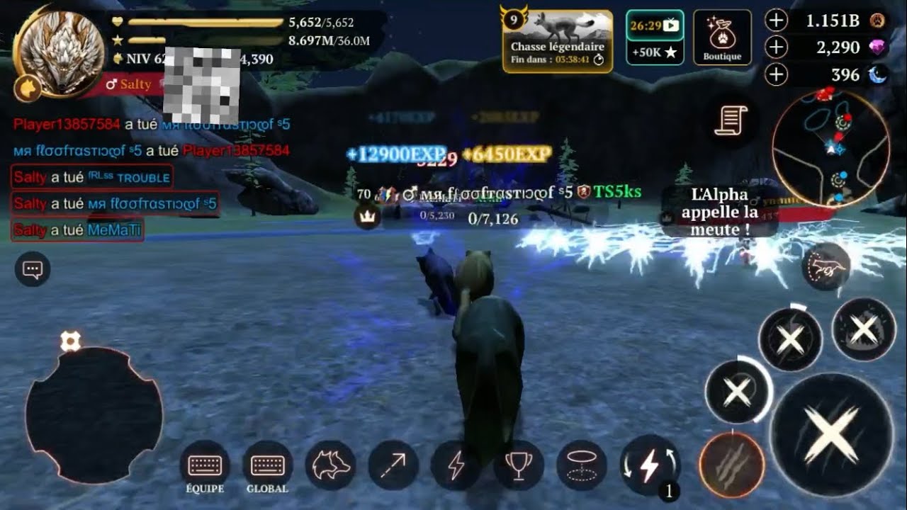 The Wolf PvP: Level 62 Hack⚜️ - YouTube