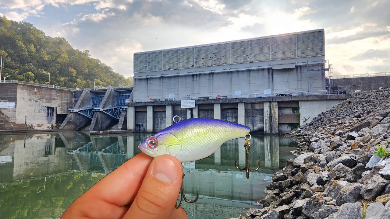 Catching BIG FISH in the Spillway!! - YouTube