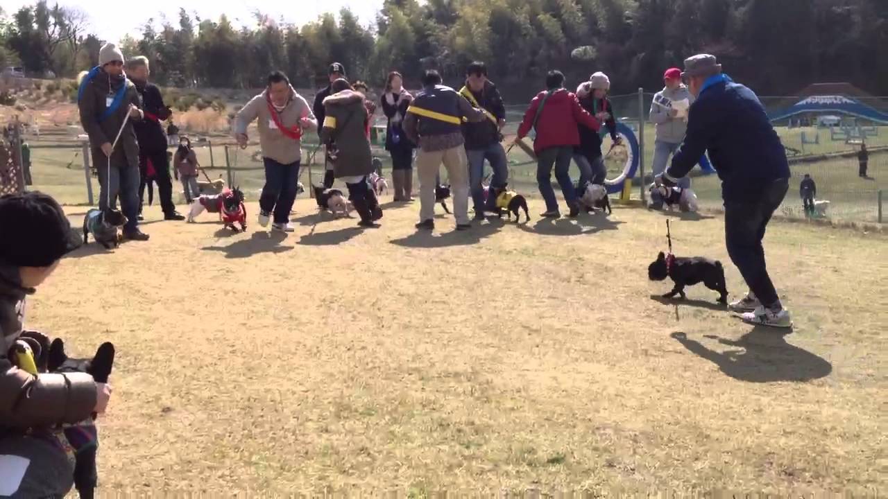 ニーシュの会♡q(´･_･`)p @Dinny's garden - YouTube