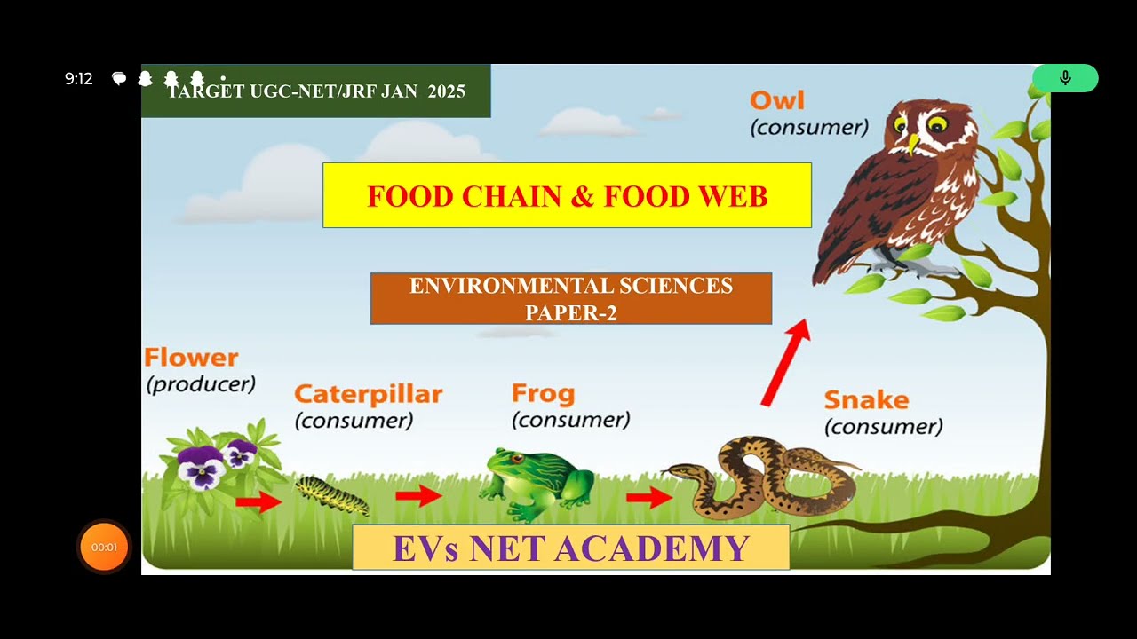 Food chain and Food web@evsnetacademy16 #ugc#environmentalstudies # ...