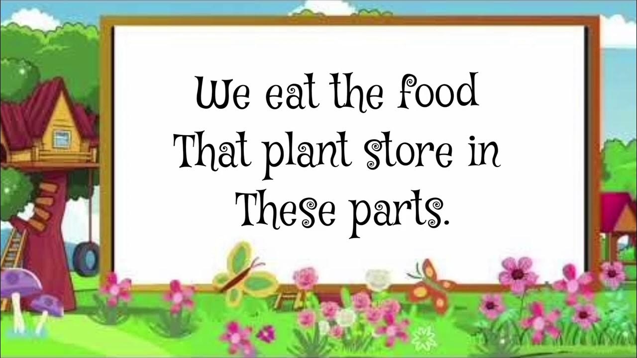 Edible parts of plants | Parts of plants that we eat | BASICS - YouTube
