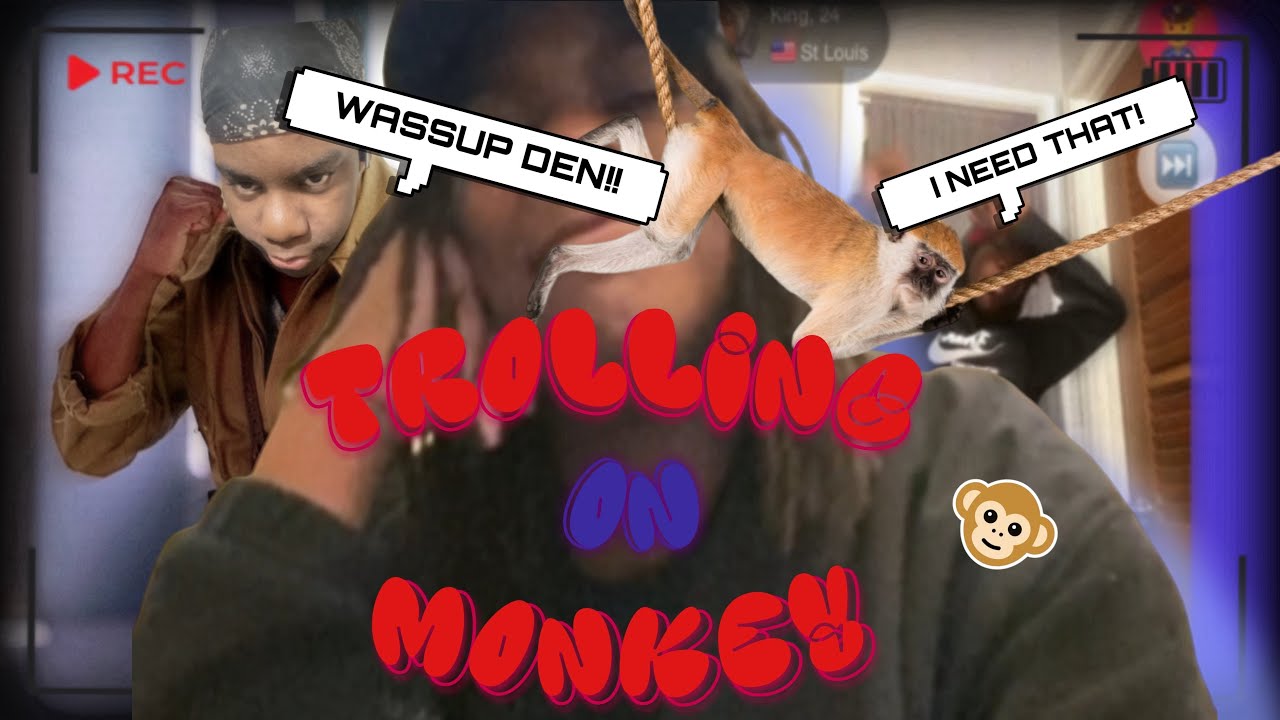 TROLLING ON MONKEY(HE NEEDED THAT!..) - YouTube