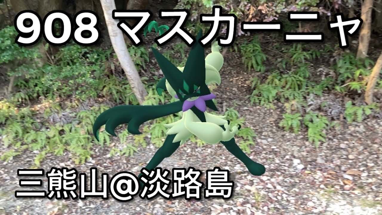 【ポケGO動くポケモンずかん】908マスカーニャ｜Meowscarada｜ShinyPokémon【ポケモンGO】PoKeMoN GO AR ...
