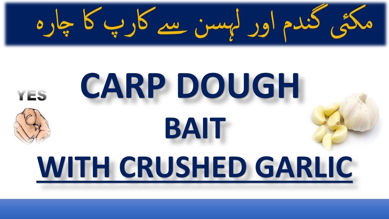 GARLIC DOUGH BAIT FOR CARP FISHING - YouTube