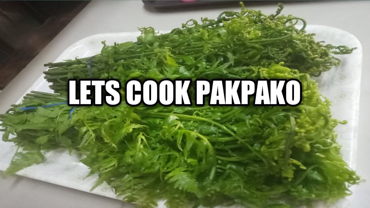 PAKPAKO, PAKO or FERN - YouTube