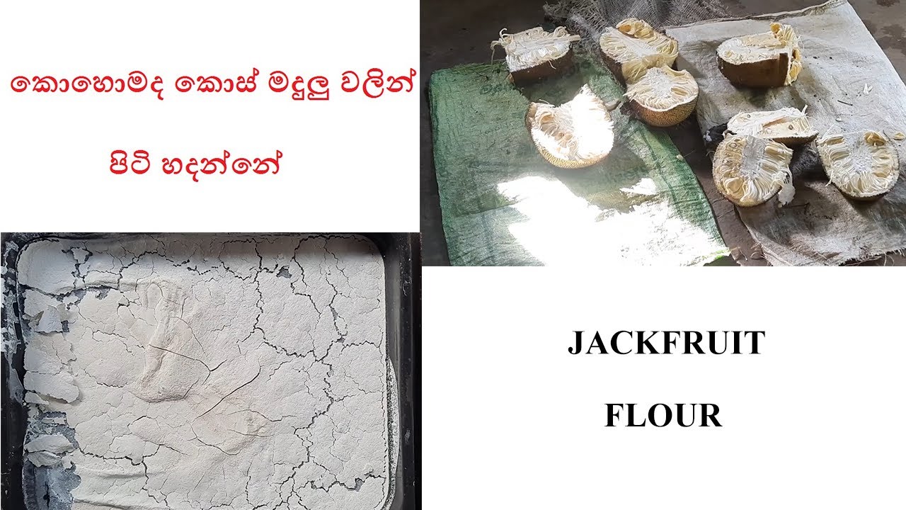 කොස් මදුලු වලින් පිටි හදමු | How to make Jack fruit Flour - YouTube