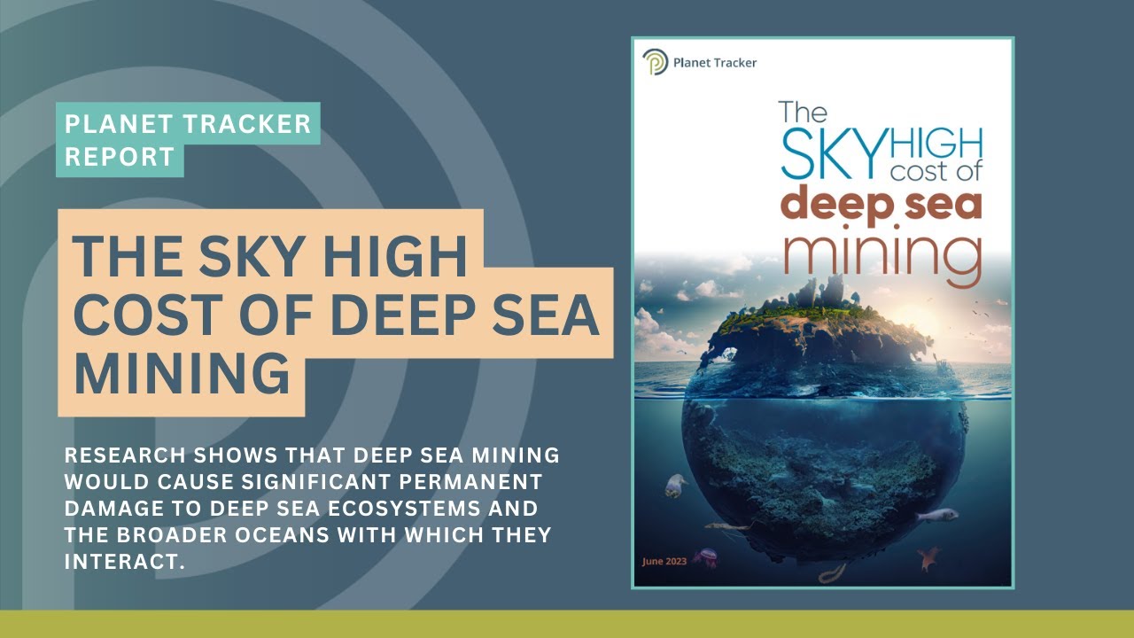 The Sky High Cost of Deep Sea Mining - YouTube