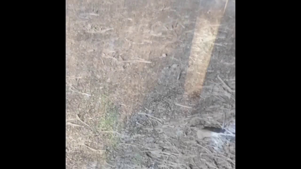 Calvin Howard 2017 edit (TRAILER) - YouTube