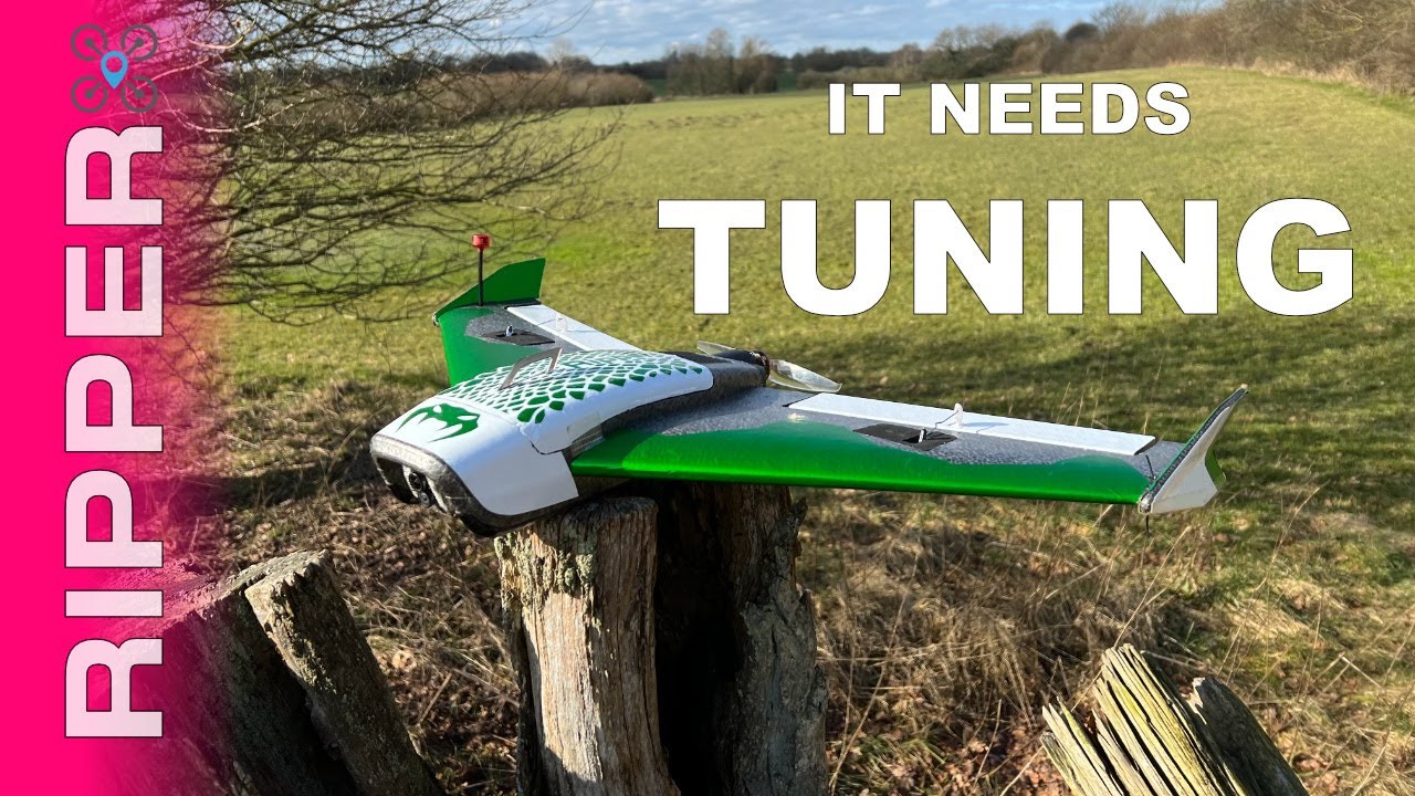 Tuning flight - 6inch adventures with a 2306 | Diatone RIpper R690 EP ...