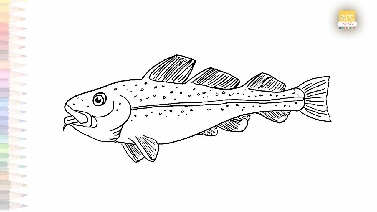 Atlantic spotted cod fish drawing easy | Art tutorial | How to draw ...