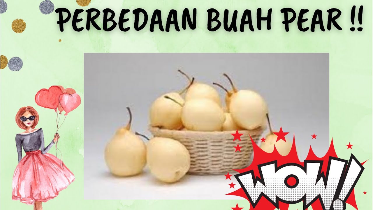 PERBEDAAN BUAH PEAR YALIE, GOLDEN, XIANGLIE, CENTURY, SWEET, FORALLE ...