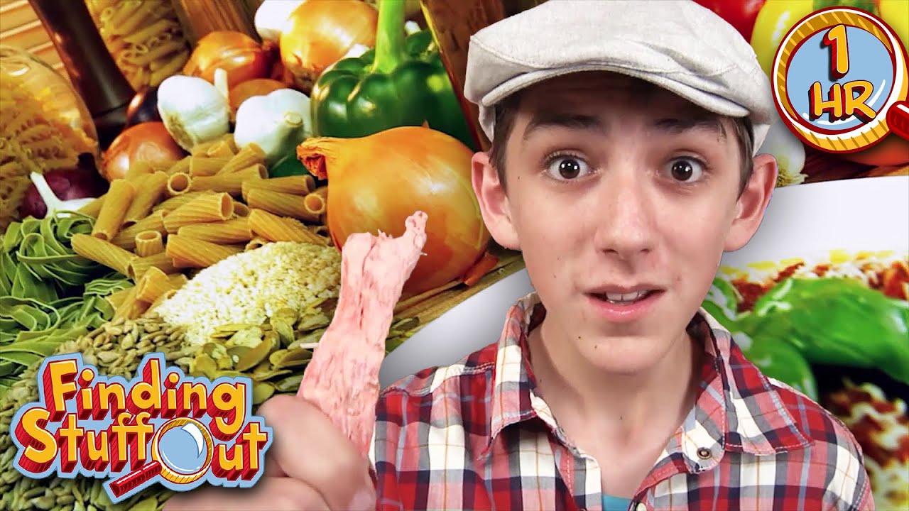 Savouring Science | A Food & Nutrition Fiesta | Full Episodes | Finding Stuff Out - YouTube