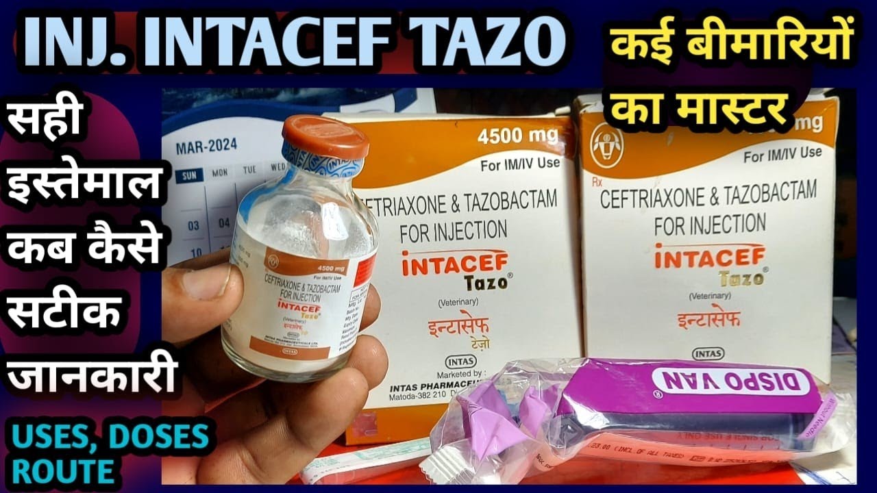INTACEF Tazo Veterinary Injection||Ceftrixone & Tazobactum||का उपयोग ...