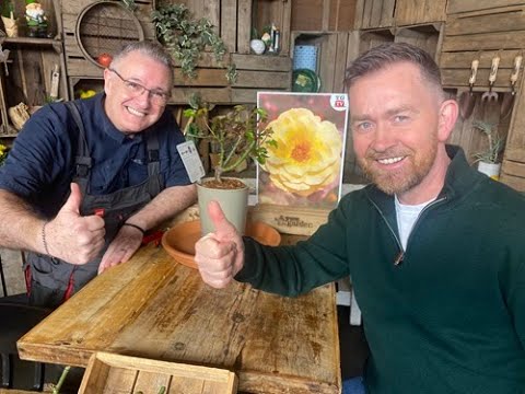 Live with Dave the Plant Man and You Garden - YouTube