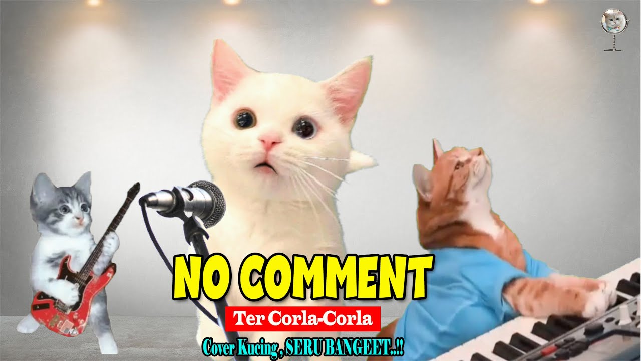 Kucing Nyanyi Lagu NO COMMENT Lucu Banget | Dunia Kucing TV - YouTube
