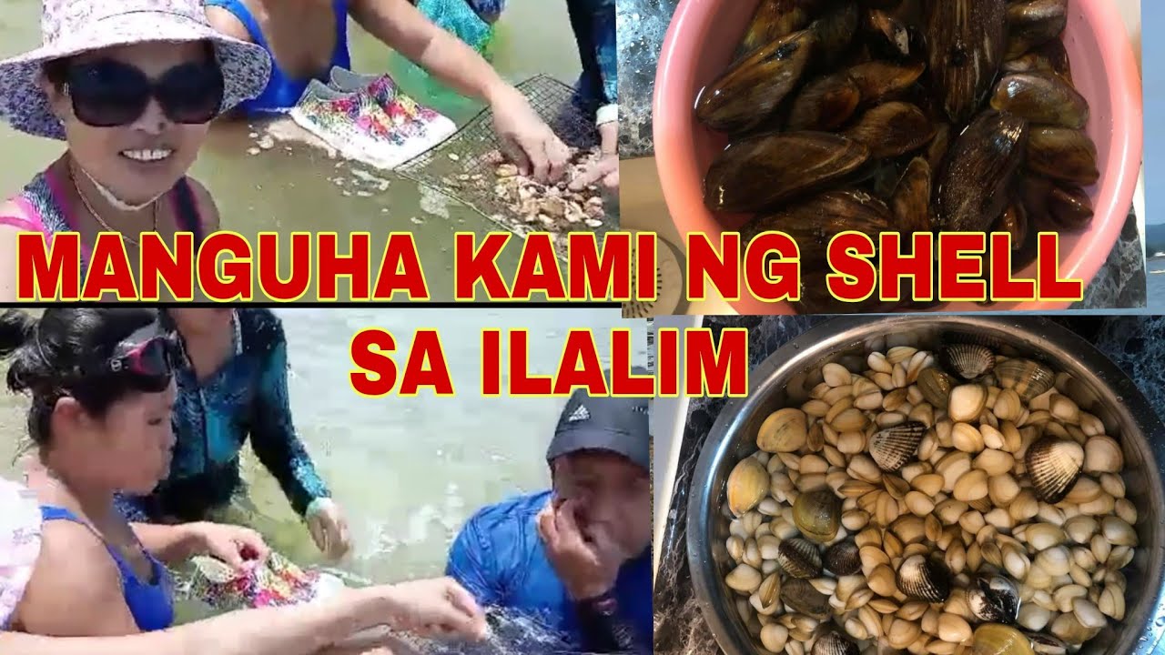 MANGUHA KAMI NG SHELL SA ILAM NG TUBIG DAGAT. - YouTube