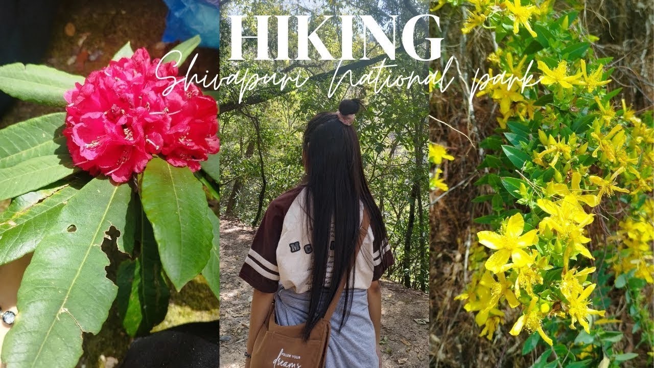 [Shivapuri National park || Bagdwar ] Hiking Ep - 4 - YouTube