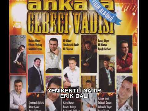 Yeni kentli nadir erik dalı potpori