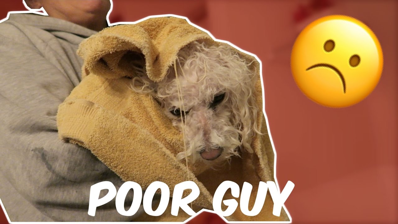 HE'S GOT A PROBLEM - YouTube