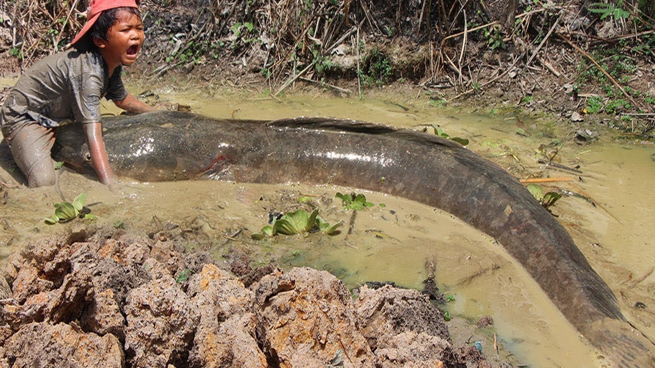 Unbelievable Girl Fishing For EXOTIC HUGE Pink Catfish Mr Robet Eating ...
