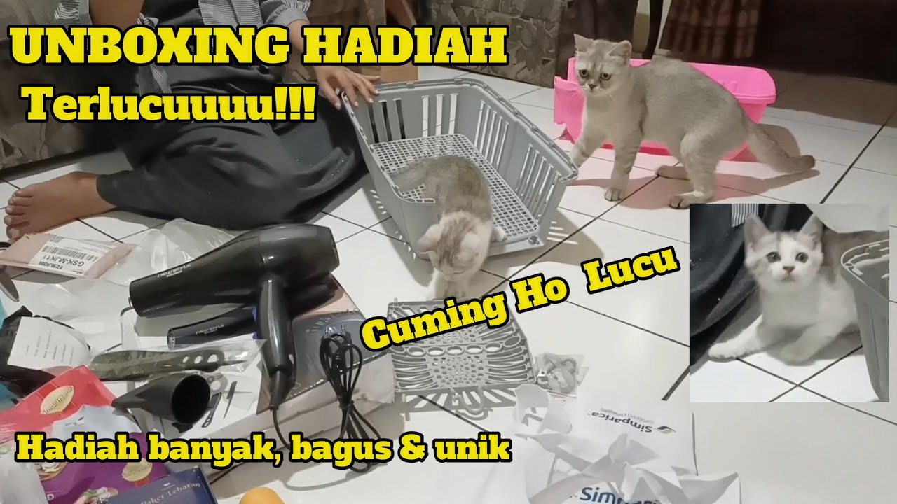 Unboxing Hadiah bersama Anak Kucing Lucu Cuming Ho The Mbecungik Gank ...