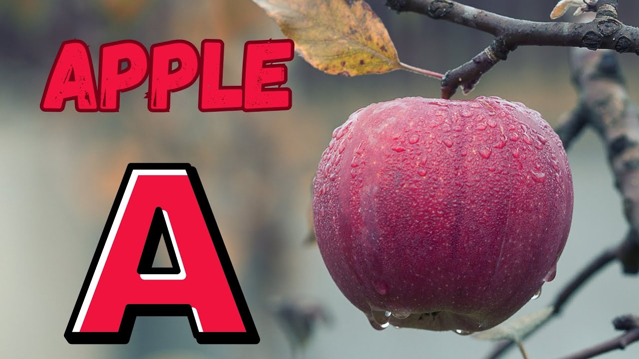 ABC Song for kids, Sing along with our fun and educational ABC Poem ...