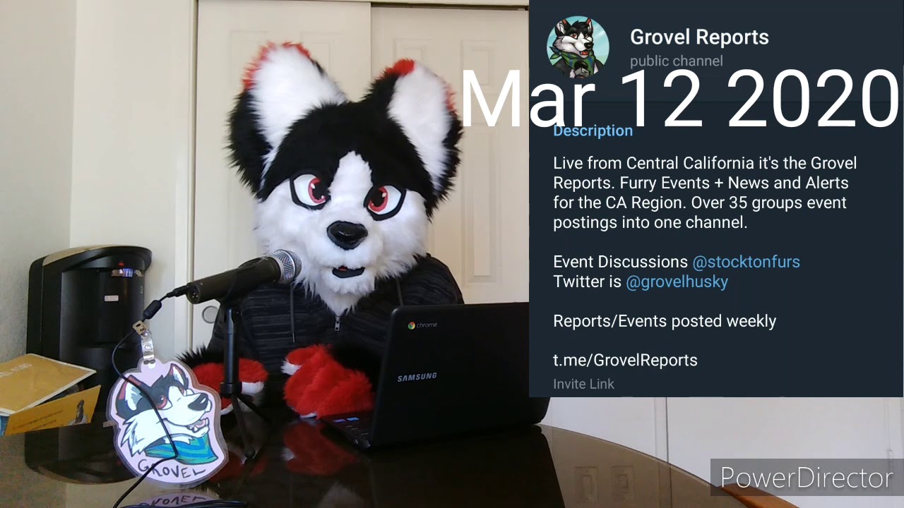 Grovel Reports Mar 12 2020 - YouTube