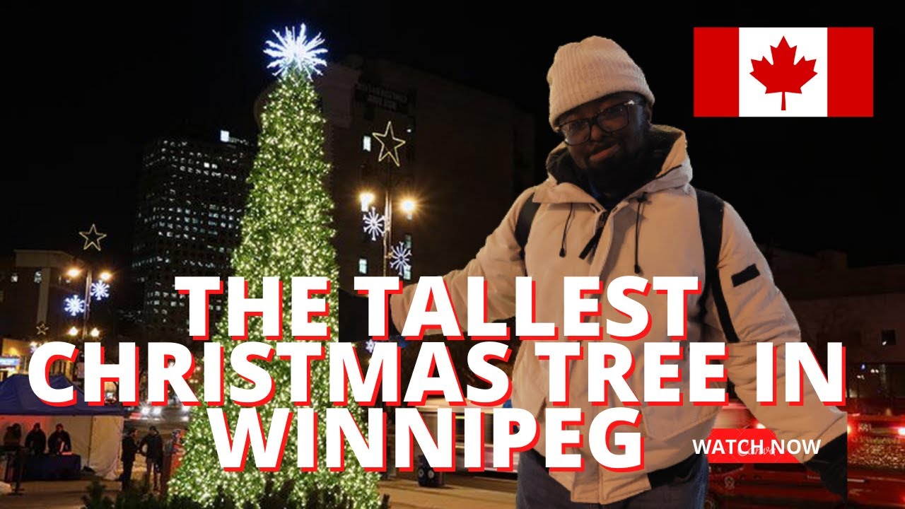 Trip To Visit The Winnipeg 50 Feet Tall Christmas Tree - YouTube