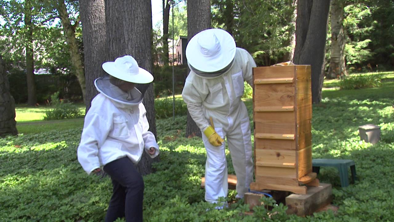 REAL TO REEL -- FR JACK SHEAFFER, BEEKEEPER -- SEPT. 24, 2016 - YouTube