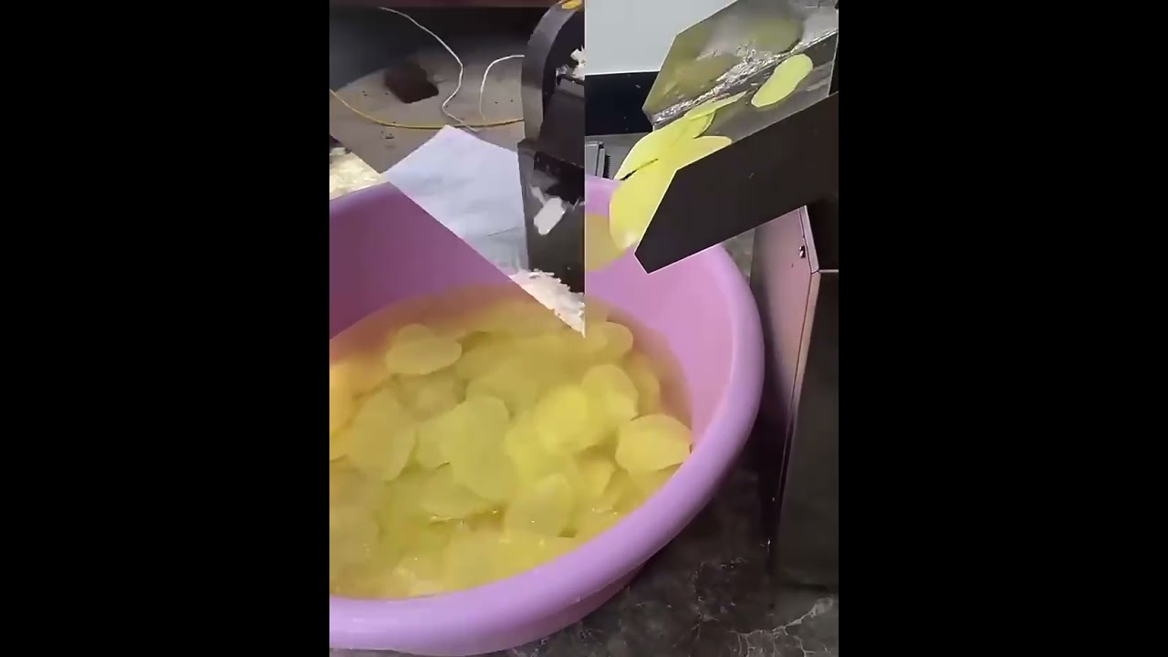 Vegetable Cutter, Fruit Chips Chopper, Carrot, Onion, Potato Slicer in ...