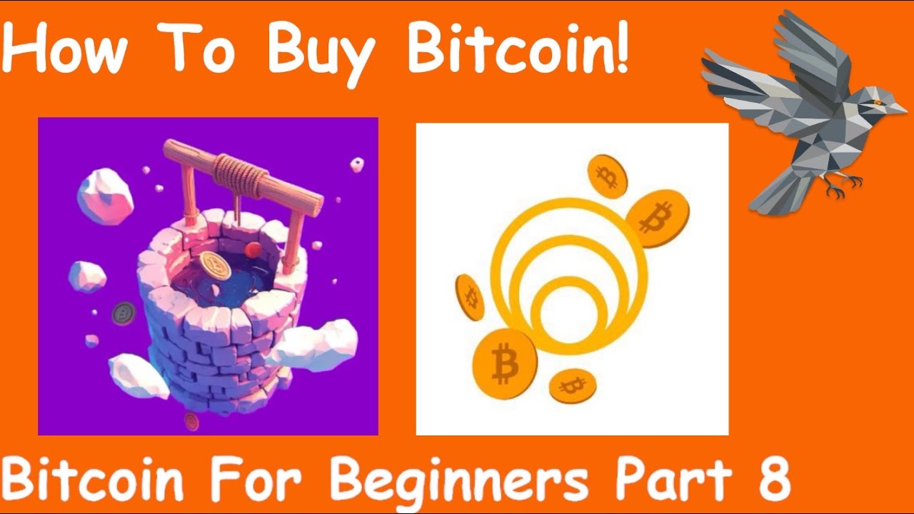 How To Buy Bitcoin for Beginners! (Bitcoin For Beginners Part 8) - YouTube
