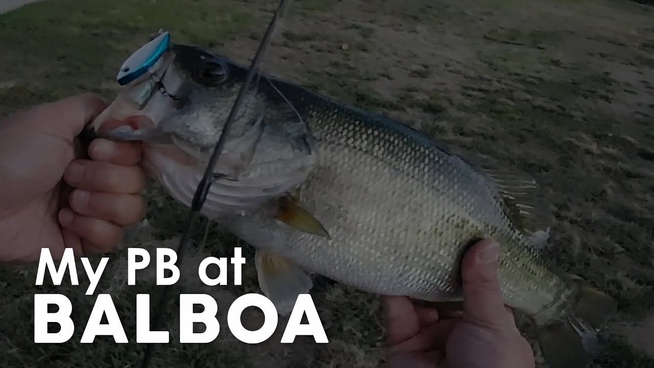 Largemouth Bass Personal Best at Lake Balboa 09-21-18 Fishing - YouTube