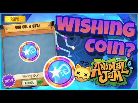 What is this new wishing coin? The item that was only available for 5 ...