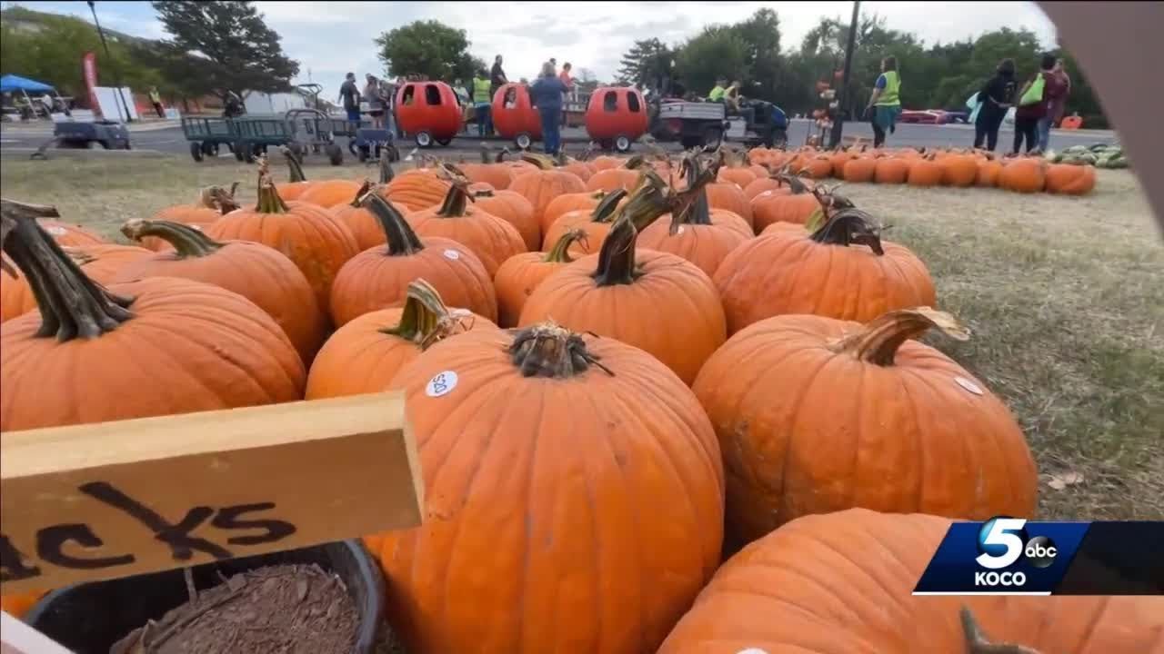 Fall weather offers perfect time to enjoy Oklahoma pumpkin patches - YouTube